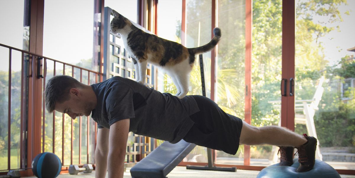 Top Tips to Exercising at Home Long Term - Talking Koala